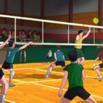 What Do Volleyball Numbers Mean? Here’s Everything You Need to Know ...