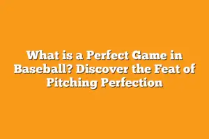 What is a Perfect Game in Baseball? Discover the Feat of Pitching ...